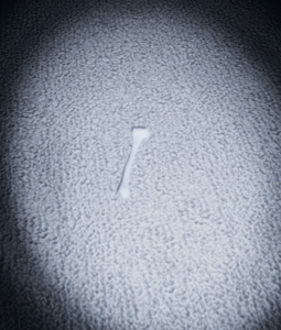 Phasmophobia - A Guide to Taking Photos - MGN